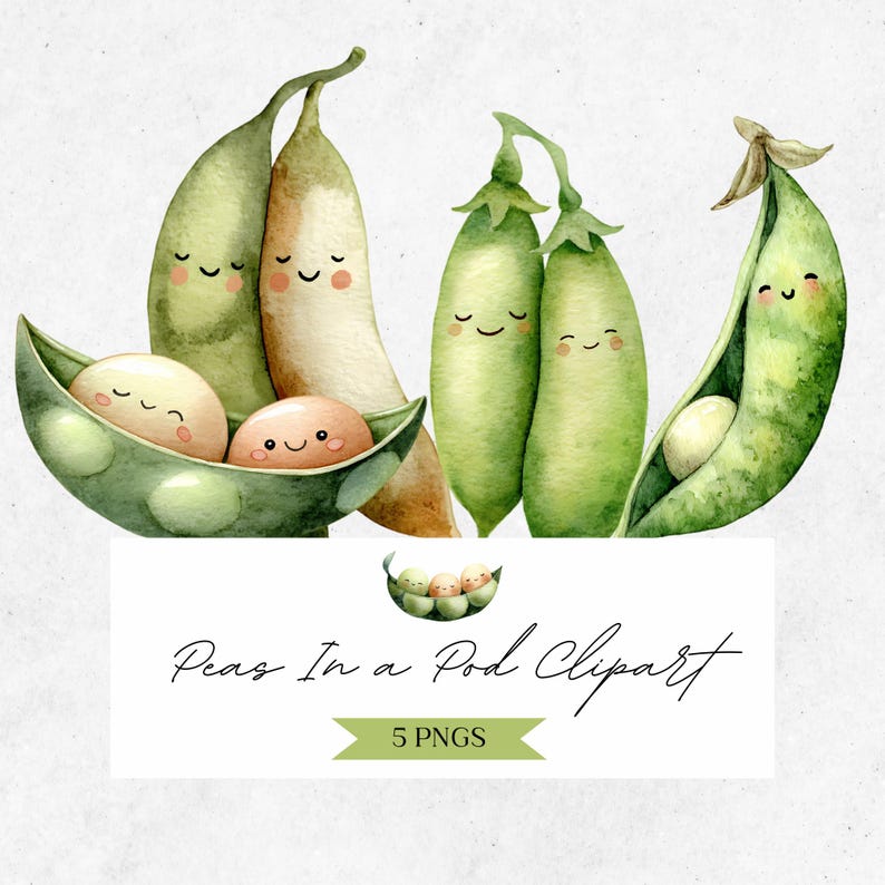 Watercolor Pea Pod Clipart: Baby Shower Graphics (PNG Digital Download ...