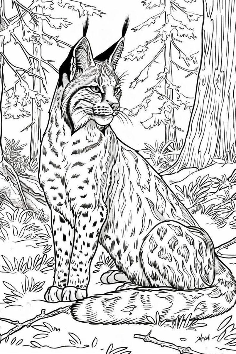 Printable Animal Coloring Book, 60 Unique Pages, Jungle Farm Animals ...