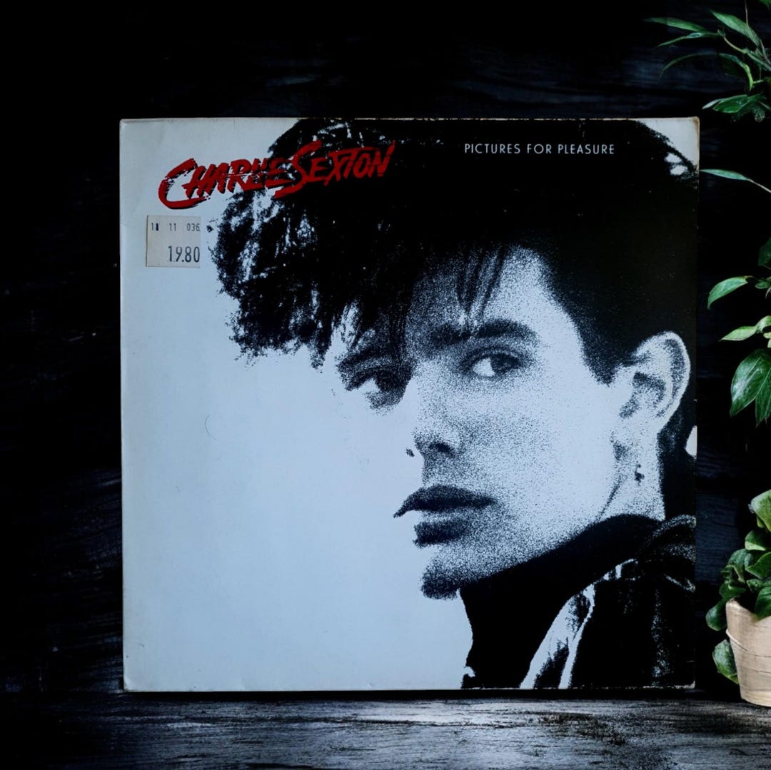 Charlie Sexton Pictures for Pleasure 1985 VG+ Music Record Vinyl Album ...