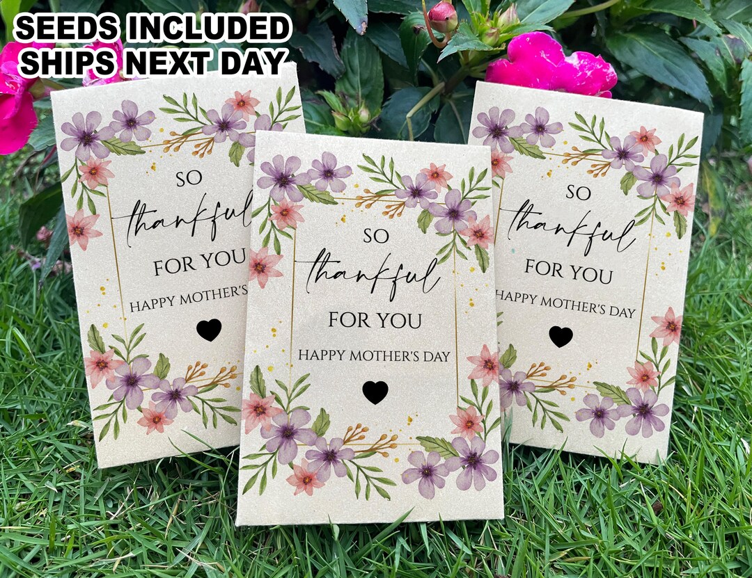 Bulk Seed Packet Favors for Mothers Day Brunch/mother's Day Flower Card ...