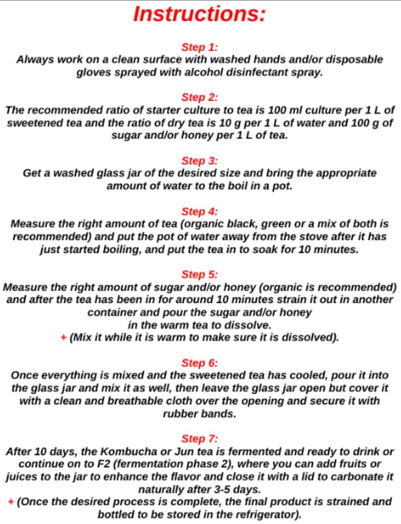 Kombucha / Jun SCOBY Hybrid Mother Culture Starter Culture ...