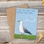 Rude Seagull Birthday Card - Etsy UK