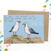 Rude Seagull Birthday Card - Etsy UK
