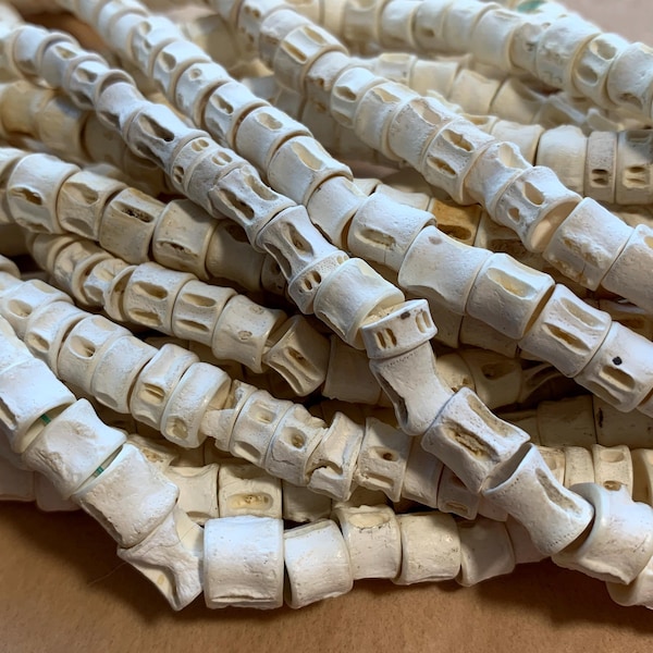 Fish Vertebrae Beads - Etsy