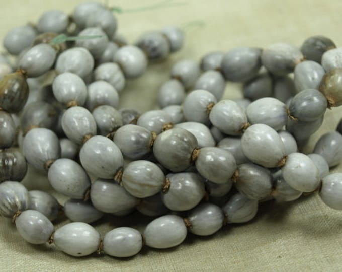 Job's Tears Seeds Beads Drilled Box 300 Pcs.coix Lacryma Natural Raw ...