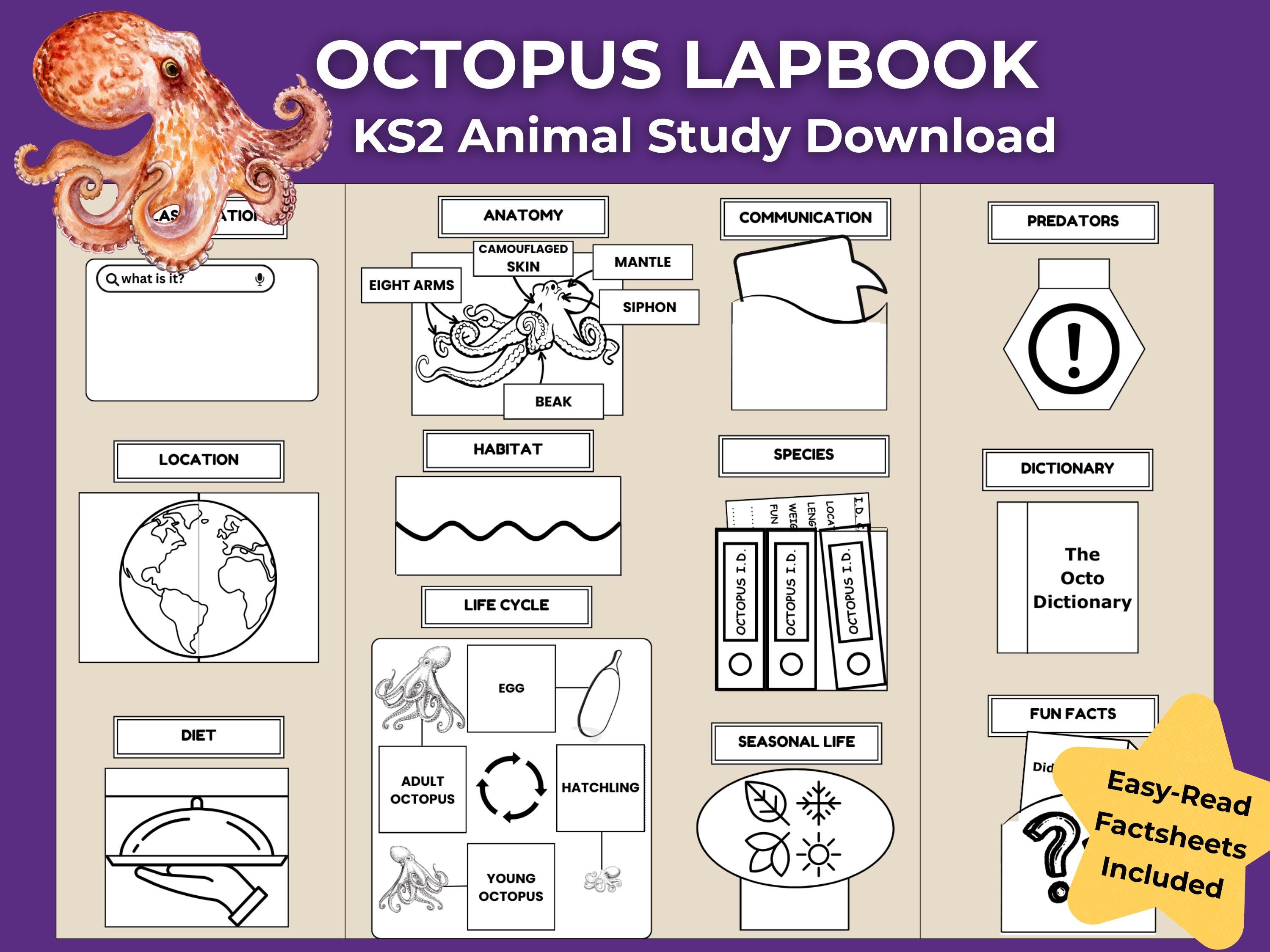 Octopus Lapbook KS2 | Animal Science | Printable | Easy-read Factsheets ...