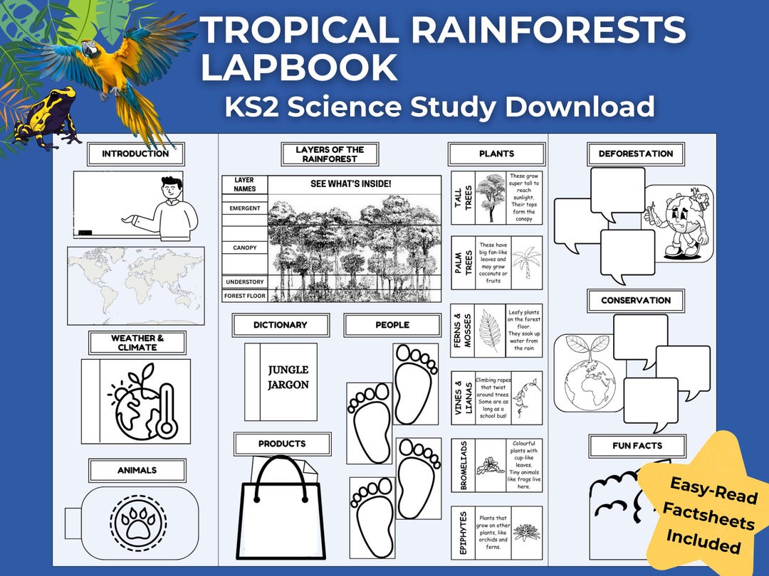 Tropical Rainforests Lapbook KS2 | Science Study | Printable Lapbook ...