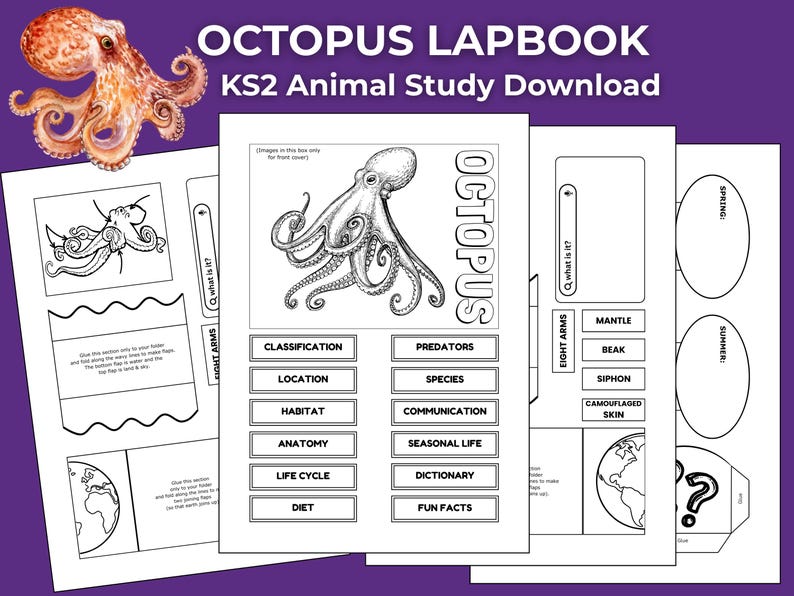 Octopus Lapbook KS2 | Animal Science | Printable | Easy-read Factsheets ...