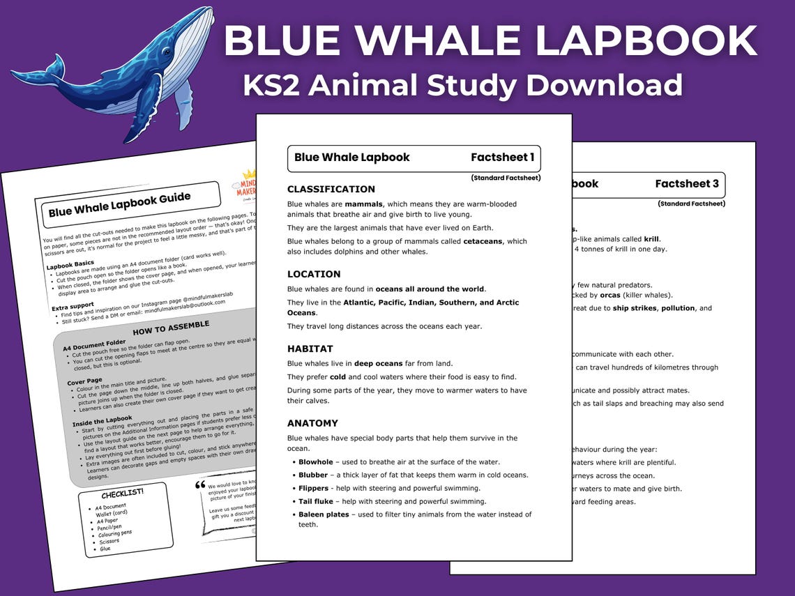Blue Whale Lapbook KS2 | Animal Science | Printable | Easy-read ...