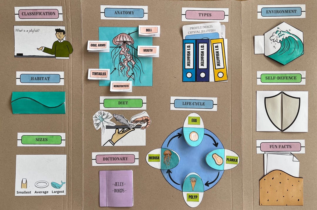 Jellyfish Study Lapbook Download | Printable | Creative Activity ...
