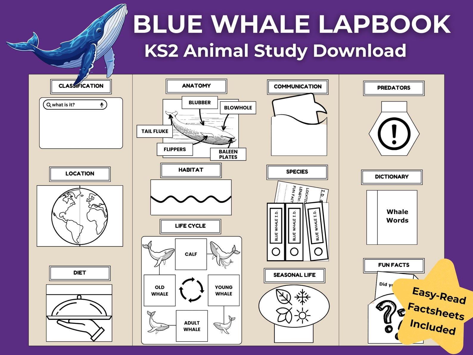 Blue Whale Lapbook KS2 | Animal Science | Printable | Easy-read ...