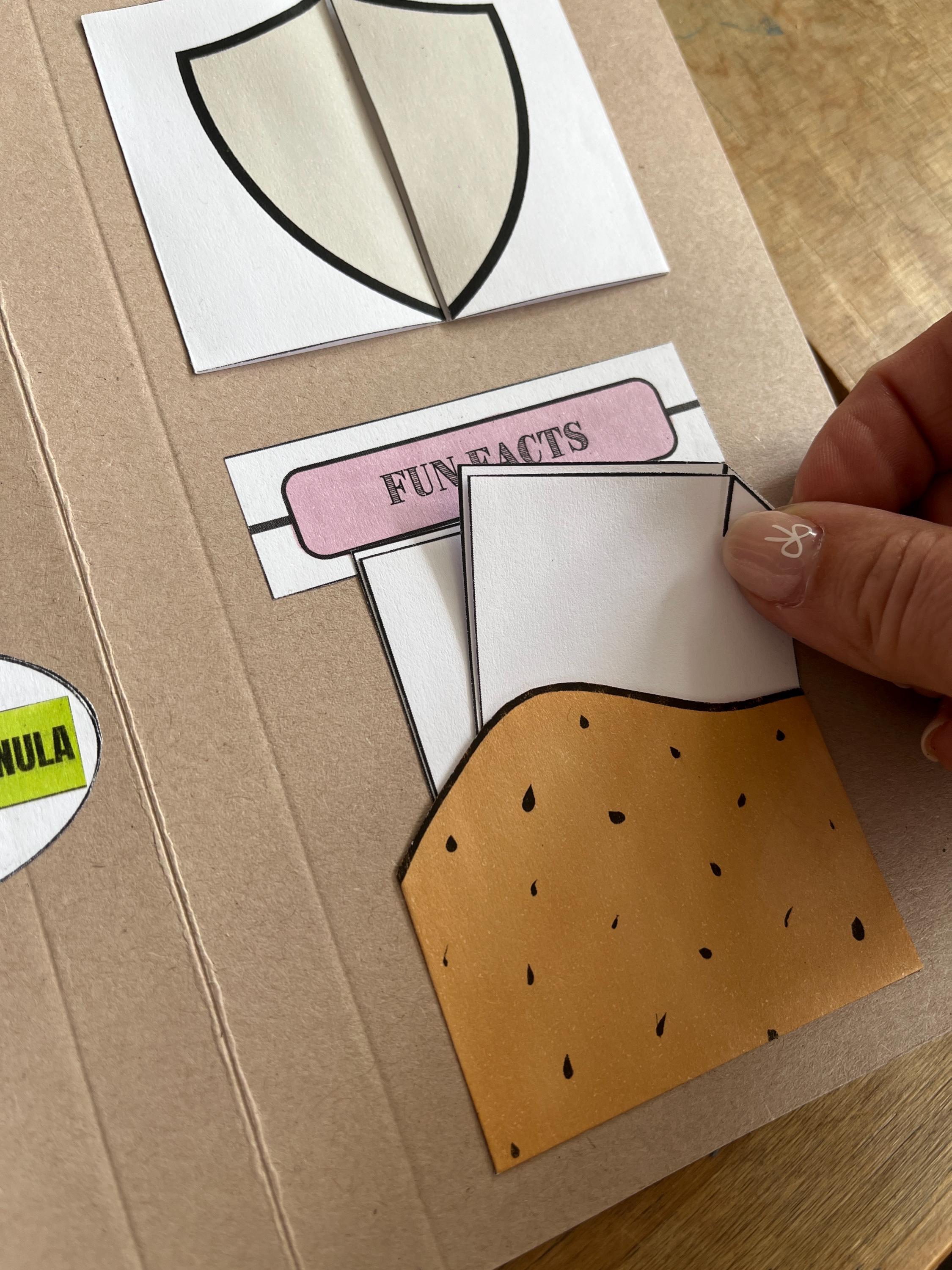 Jellyfish KS2 Science Pack | Printable Unit Study Lapbook - Etsy