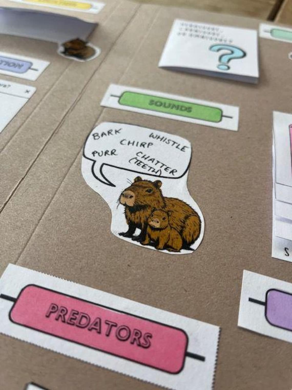 Capybara Study Lapbook Download | Printable | Creative Activity ...
