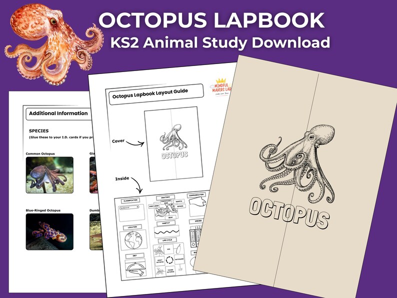 Octopus Lapbook KS2 | Animal Science | Printable | Easy-read Factsheets ...