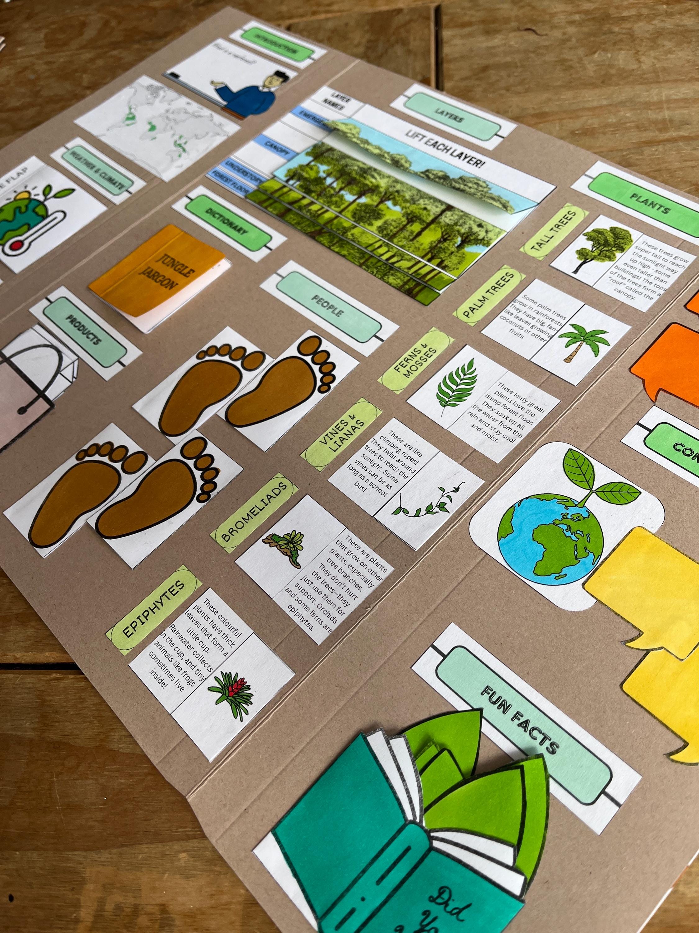 Tropical Rainforests Study Lapbook Download | Interactive | Printable ...