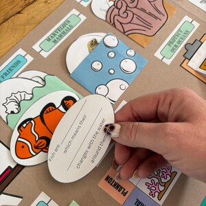 Ocean Creatures Study Lapbook Download | Printable | Creative Activity ...