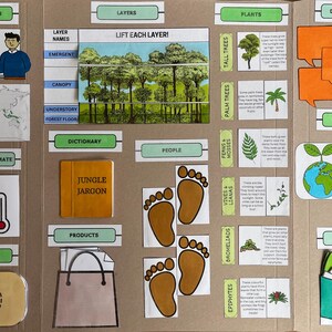 Tropical Rainforests Study Lapbook Download | Interactive | Printable ...