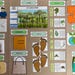 Tropical Rainforests Study Lapbook Download | Interactive | Printable ...