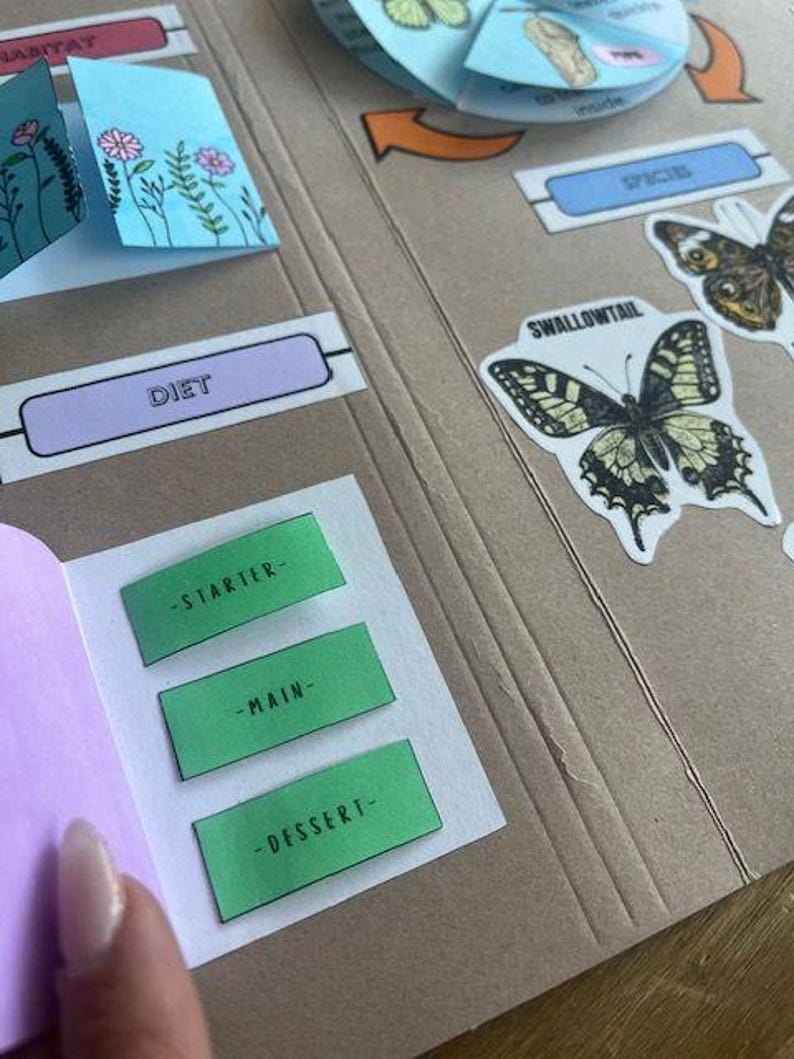 Butterfly Study Lapbook Download | Printable | Creative Activity ...
