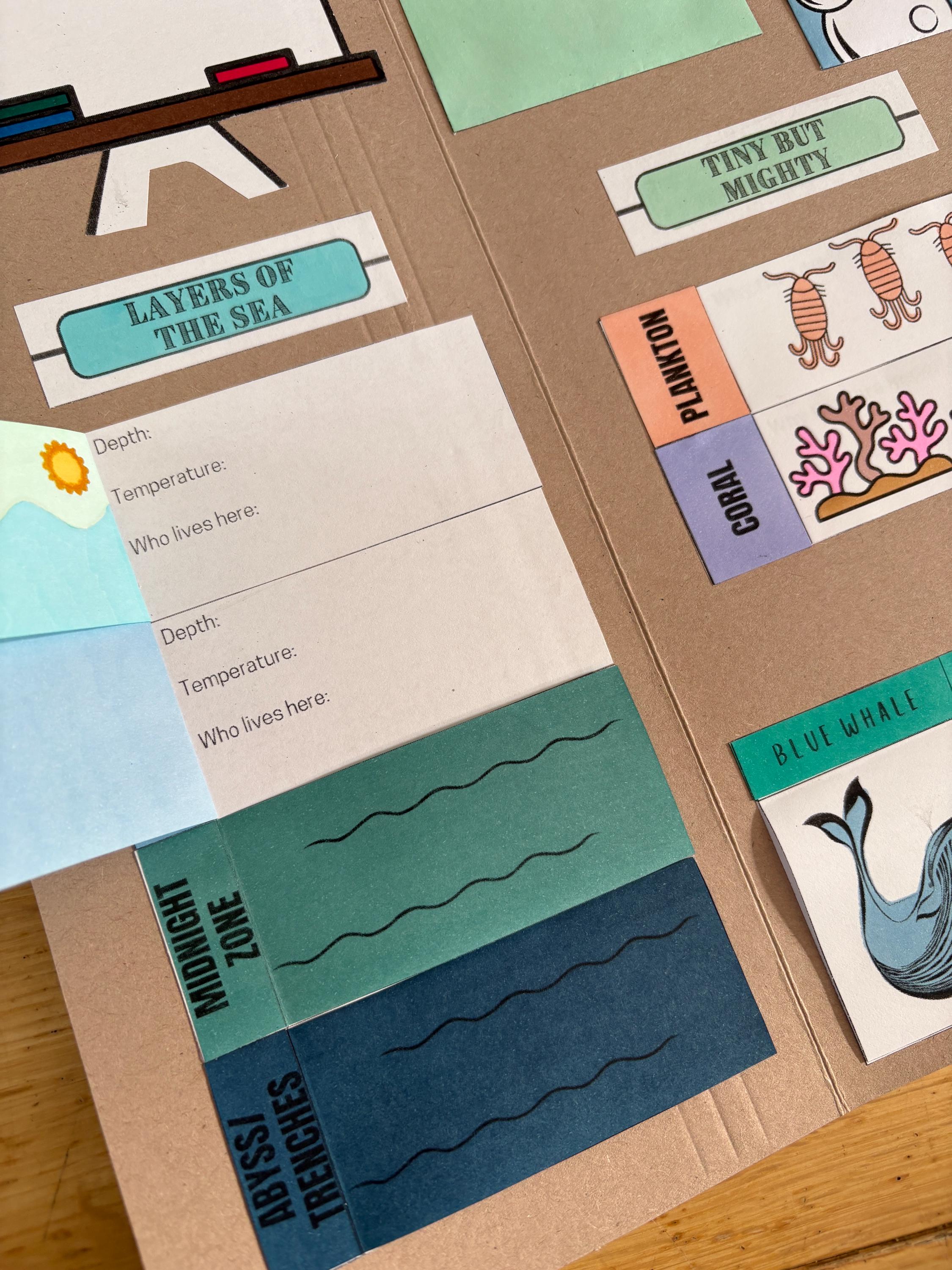 Ocean Creatures Study Lapbook Download | Printable | Creative Activity ...