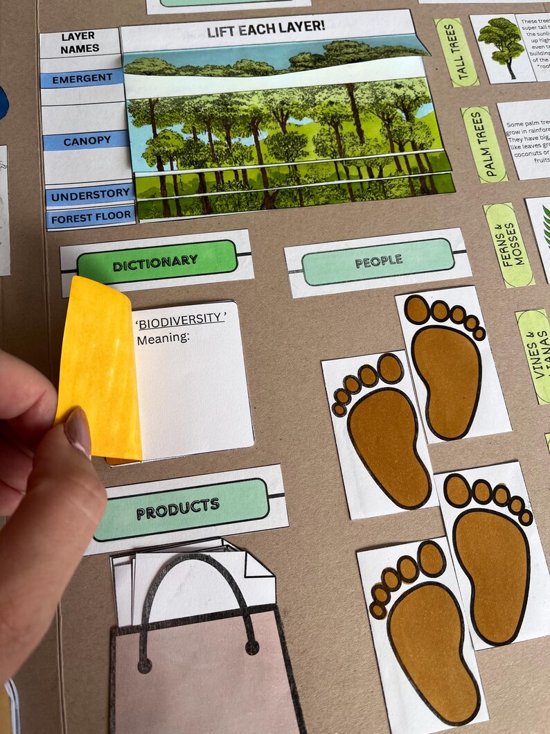 Tropical Rainforests Study Lapbook Download | Interactive | Printable ...