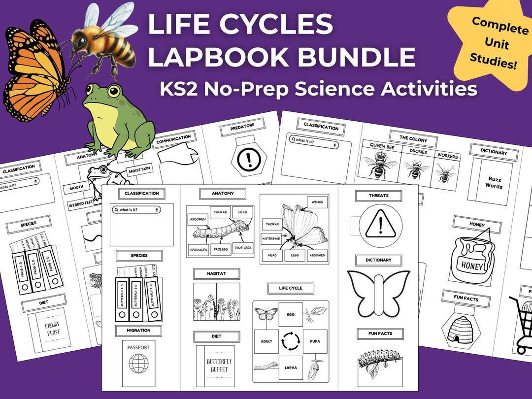 Life Cycles Lapbook Bundle KS2 | Butterfly, Frog & Honey Bee - Etsy