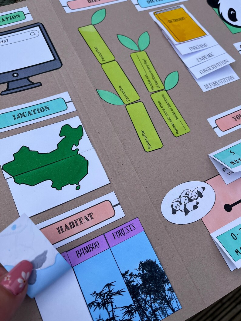 Panda Study Lapbook Download | Printable | Creative Activity ...