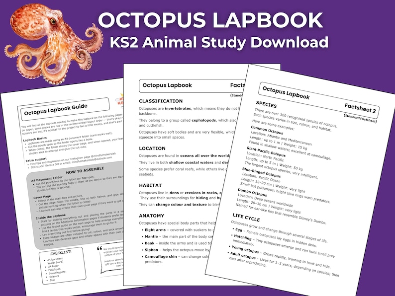 Octopus Lapbook KS2 | Animal Science | Printable | Easy-read Factsheets ...
