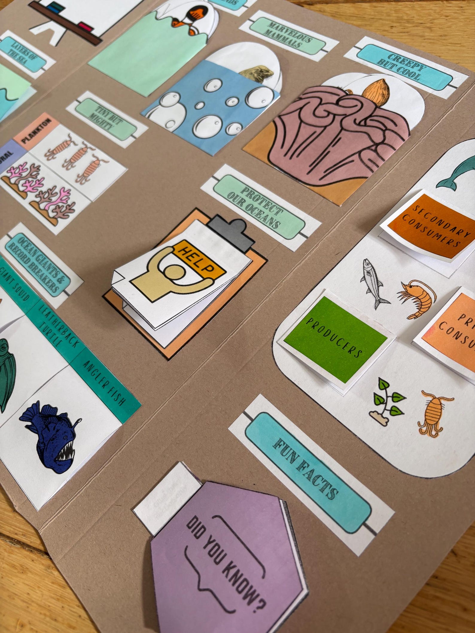 Ocean Creatures Study Lapbook Download | Printable | Creative Activity ...