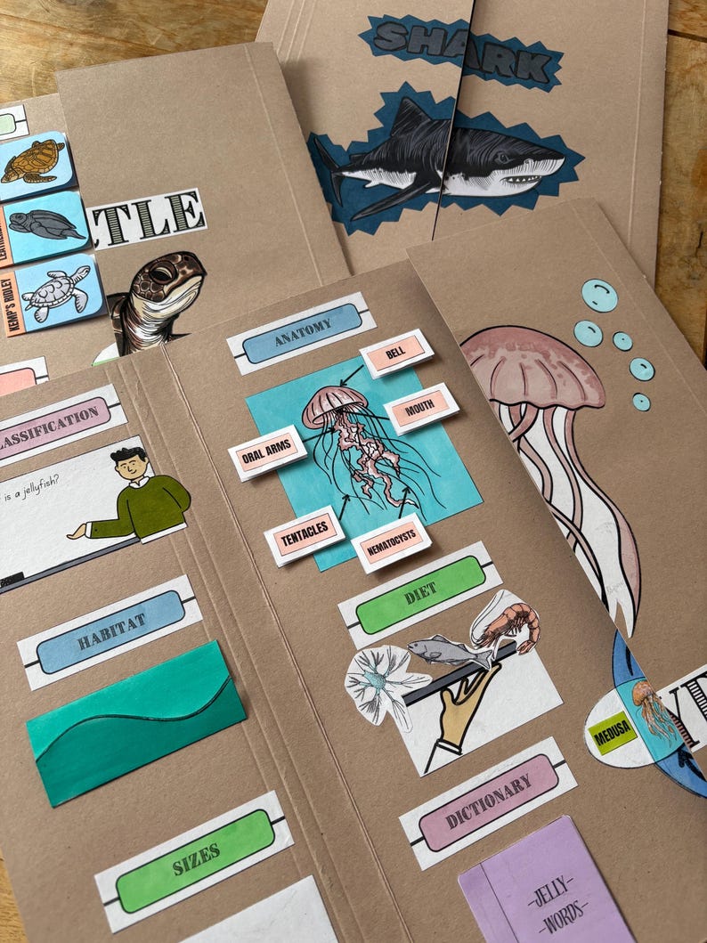 Marine Life Study Pack | Shark, Turtle, Jellyfish | Mini Bundle ...