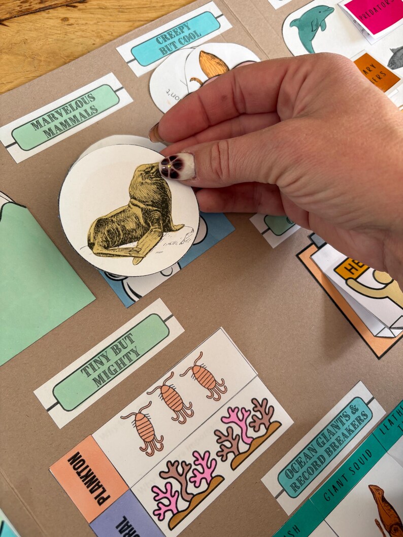 Ocean Creatures Study Lapbook Download | Printable | Creative Activity ...