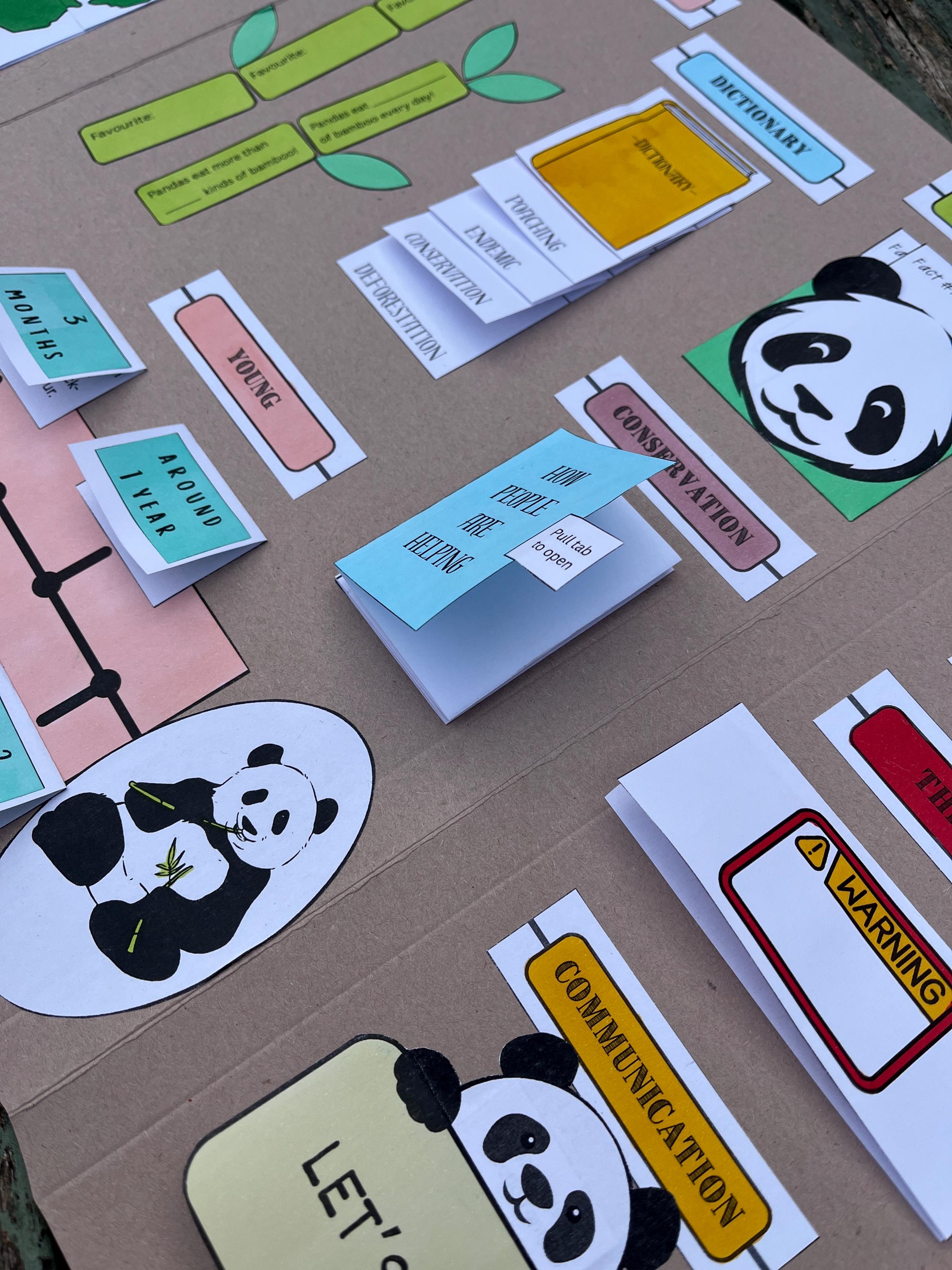Panda Study Lapbook Download | Printable | Creative Activity ...