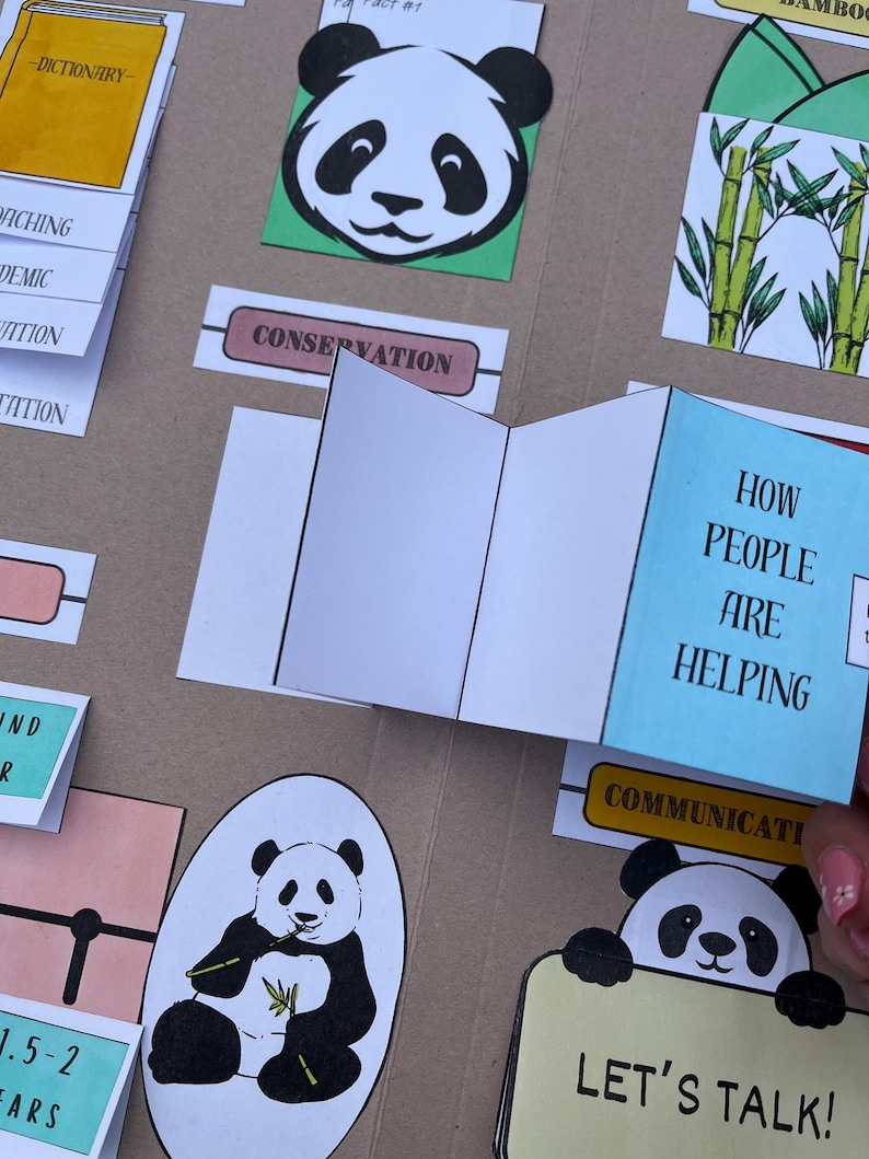 Panda Study Lapbook Download | Printable | Creative Activity ...