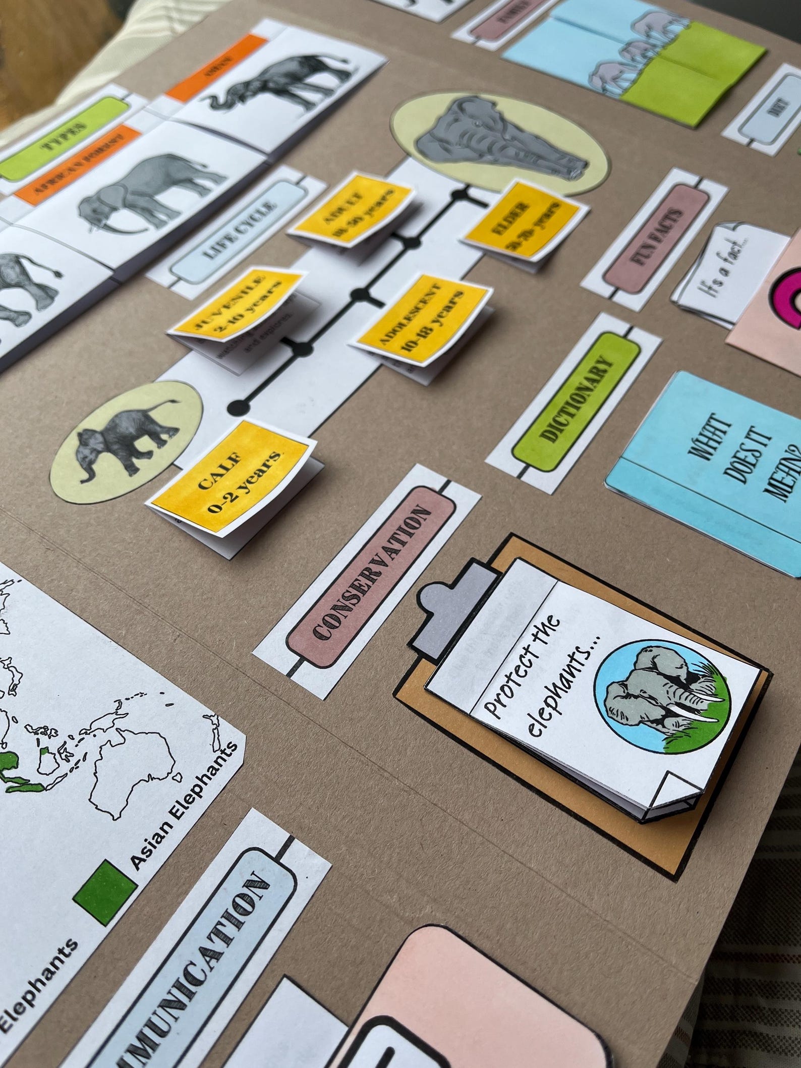 Elephant Study Lapbook Download | Printable | Creative Activity ...