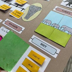 Elephant Study Lapbook Download | Printable | Creative Activity ...