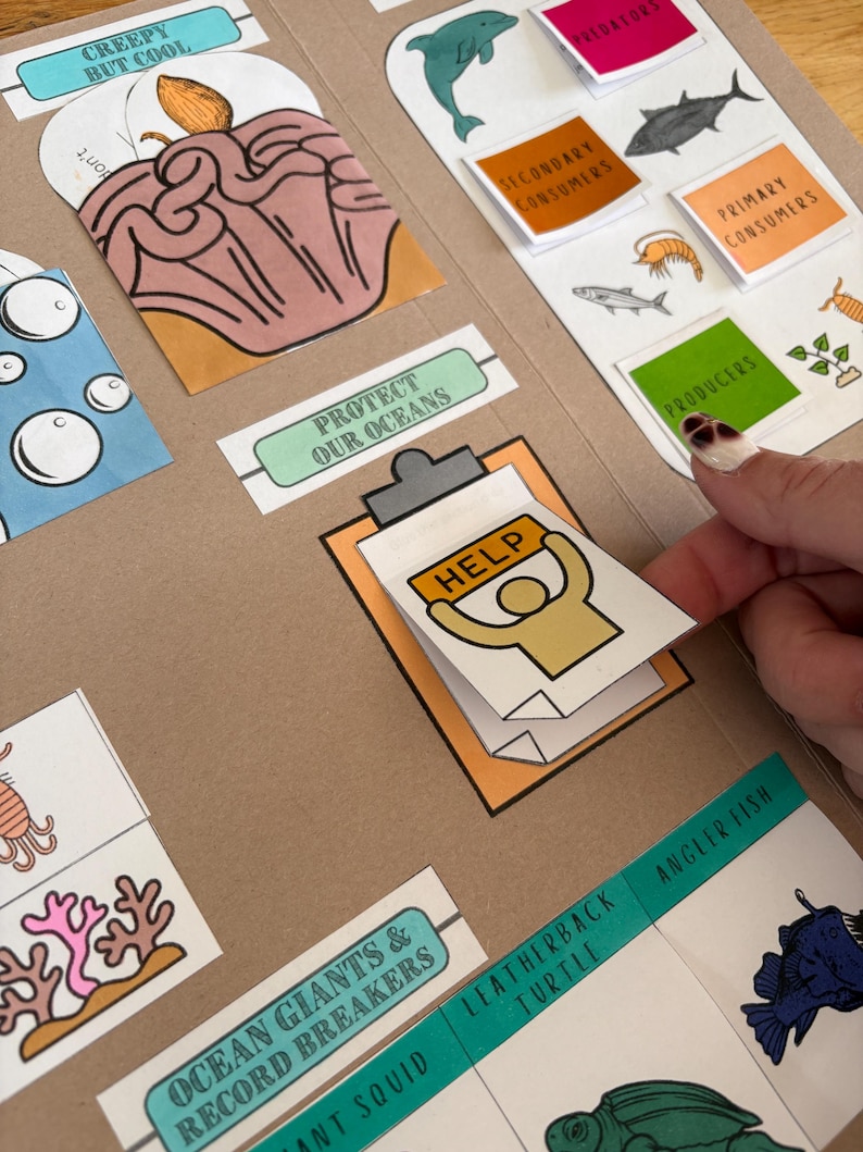 Ocean Creatures Study Lapbook Download | Printable | Creative Activity ...