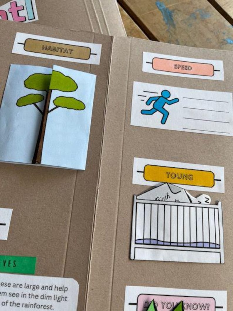 Sloth Study Lapbook Download | Printable | Creative Activity | Homeschool Craft - Etsy