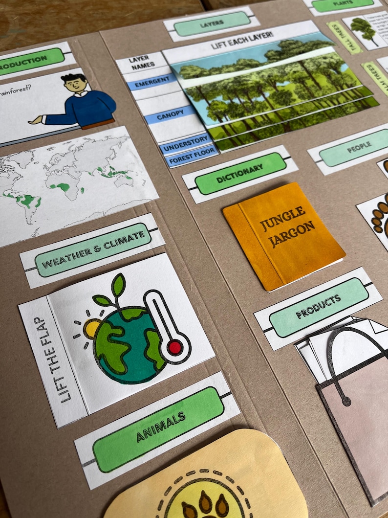 Tropical Rainforests Study Lapbook Download | Interactive | Printable ...