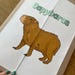 Capybara Study Lapbook Download | Printable | Creative Activity ...