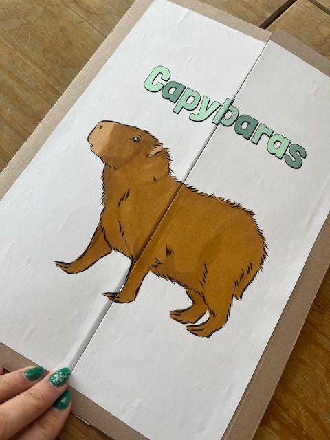 Capybara Study Lapbook Download | Printable | Creative Activity ...