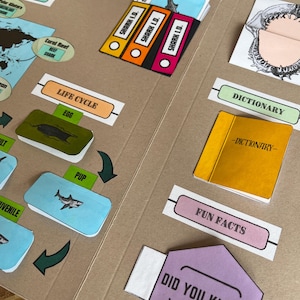 Shark Study Lapbook Download | Printable | Creative Activity ...