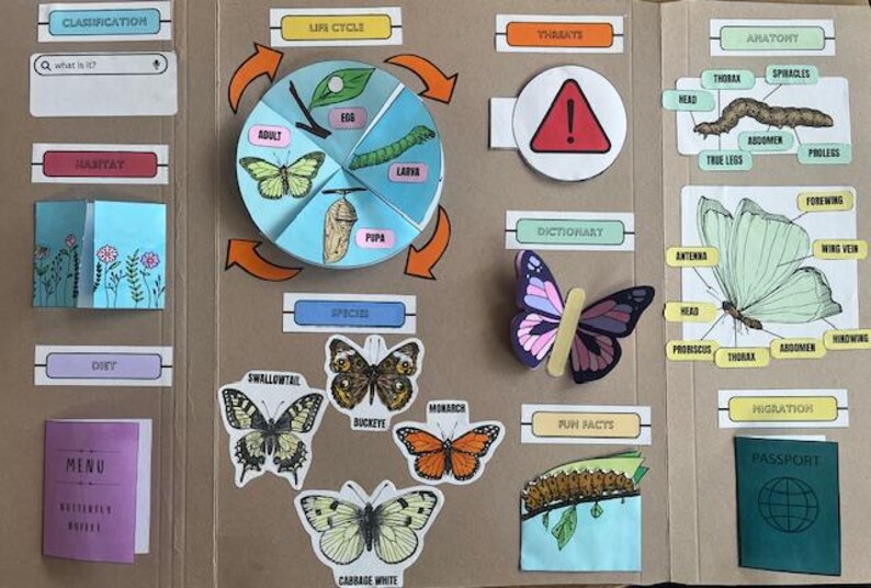 Butterfly Study Lapbook Download | Printable | Creative Activity ...