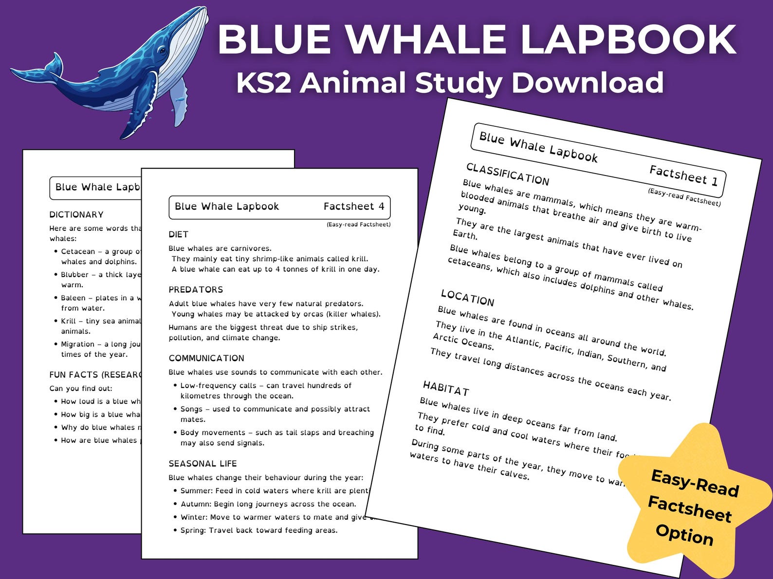 Blue Whale Lapbook KS2 | Animal Science | Printable | Easy-read ...