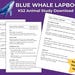 Blue Whale Lapbook KS2 | Animal Science | Printable | Easy-read ...