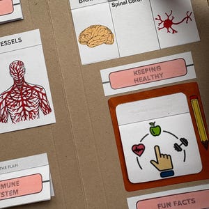 Human Body Study Lapbook Download | Printable | Science Activity ...