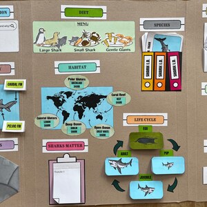 Shark Study Lapbook Download | Printable | Creative Activity ...