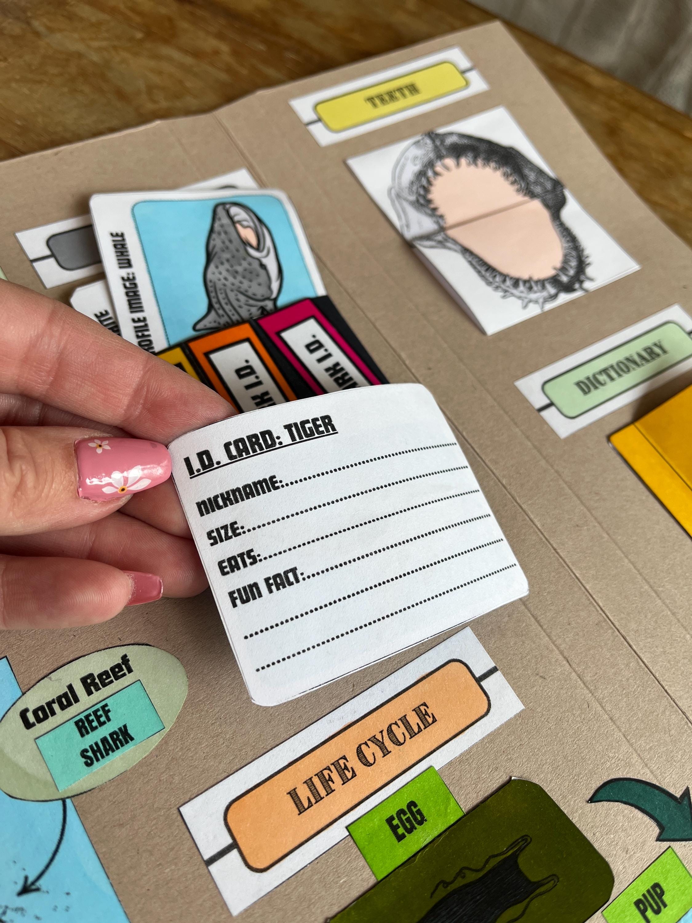 Shark Study Lapbook Download | Printable | Creative Activity ...