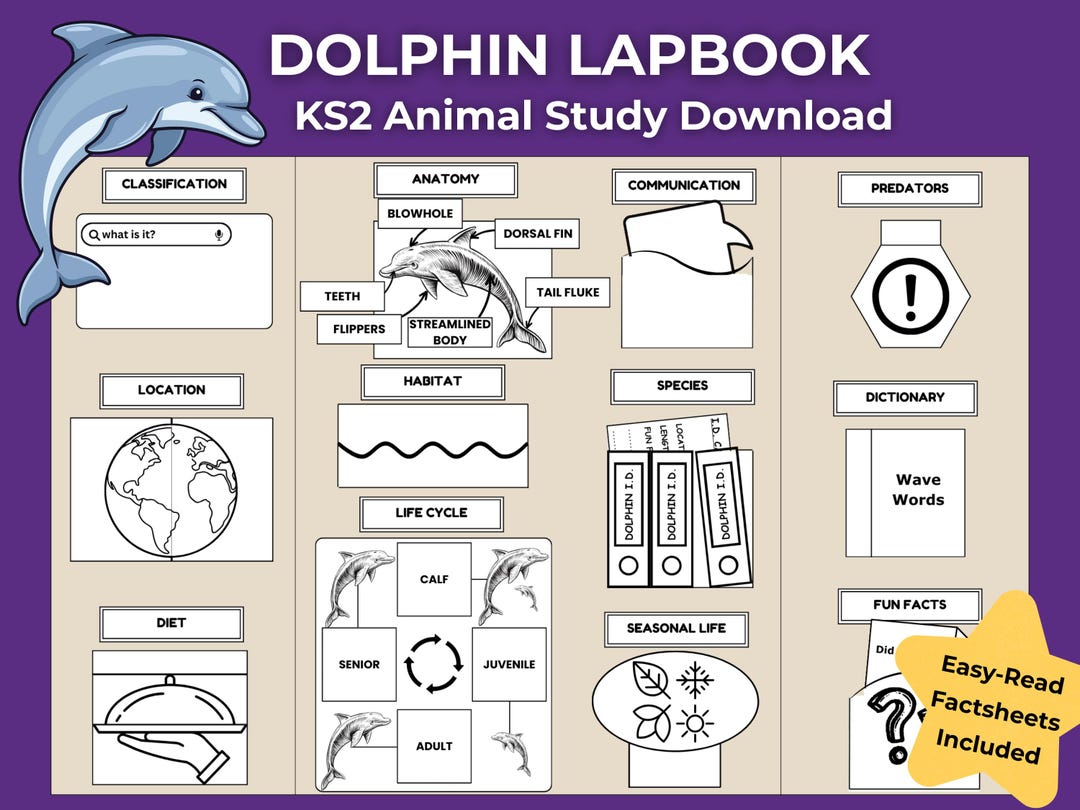 Dolphin Lapbook KS2 | Animal Science | Printable | Easy-read Factsheets ...