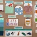 Ocean Creatures Study Lapbook Download | Printable | Creative Activity ...