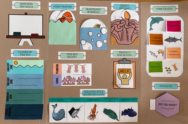 Ocean Creatures Study Lapbook Download | Printable | Creative Activity ...